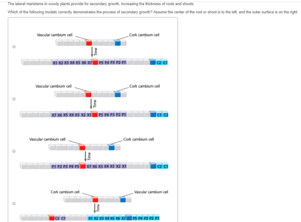 Solved The lateral meristems in woody plants provide for | Chegg.com