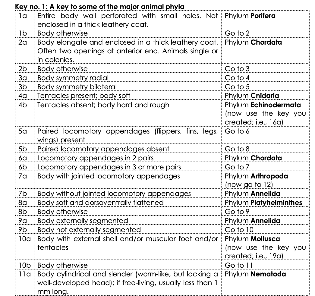 Solved Key no. 1: A key to some of the major animal phyla la | Chegg.com