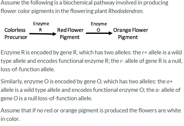 Solved A. What is the flower color phenotype of plants that | Chegg.com