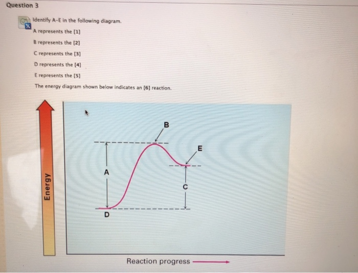 Solved Question 3 Identify A-E in the following diagram. A | Chegg.com