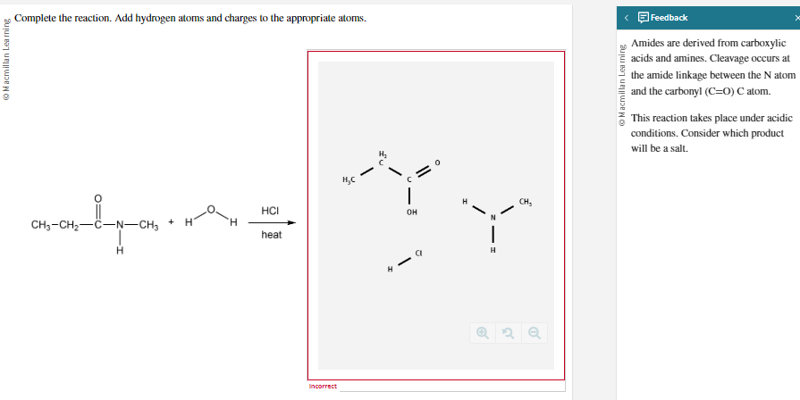 Solved amides are derived from carboxylic the amide linkage | Chegg.com