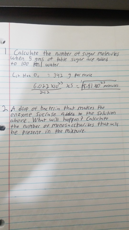 Solved Calculate the number of sugar molecules when 5 gms of | Chegg.com