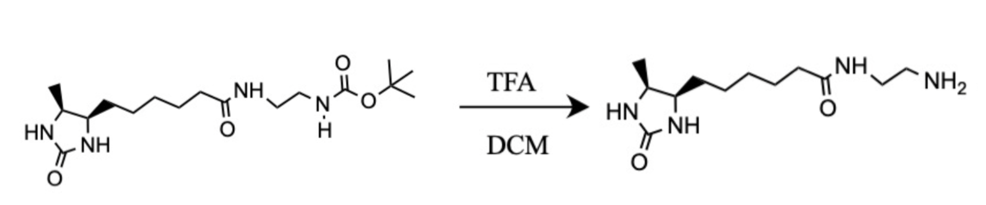 Solved NH NH NH Pok TFA DCM HN PX O HN NH NH₂ | Chegg.com