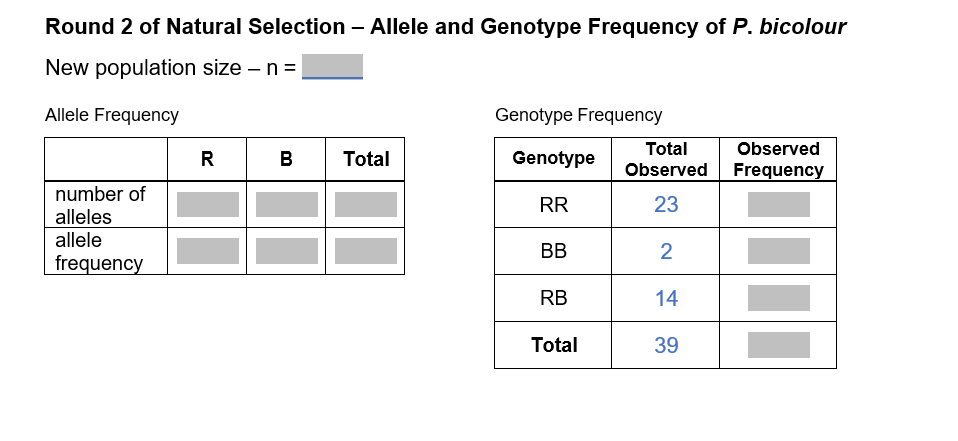 Solved b) Natural Selection Allele and Genotype Frequency of | Chegg.com