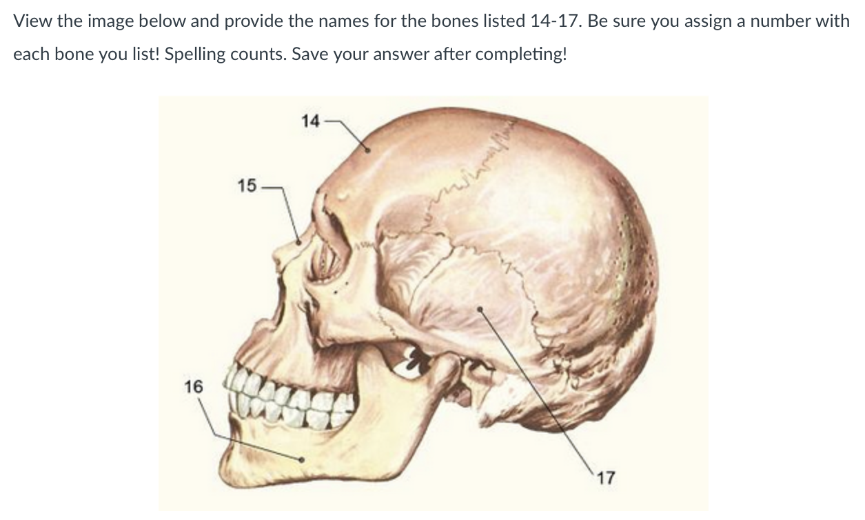 Solved View the image below and provide the names for the | Chegg.com