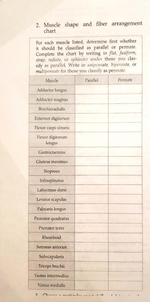 Solved 2. Muscle shape and fiber arrangement chart For each | Chegg.com