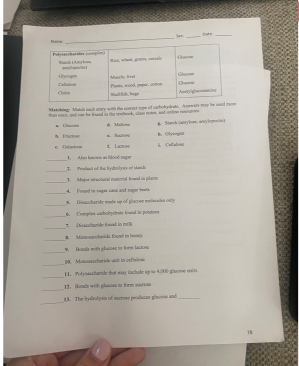 Solved Sec Date: Name: Glucose Rice, wheat, grains, cereals | Chegg.com