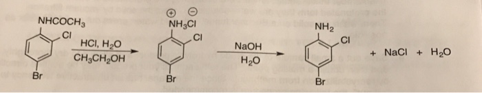 Solved NHCOCH3 NH3Cl NH2 Cl Cl Ci HCI, H20 CH3CH20H NaOH H20 | Chegg.com