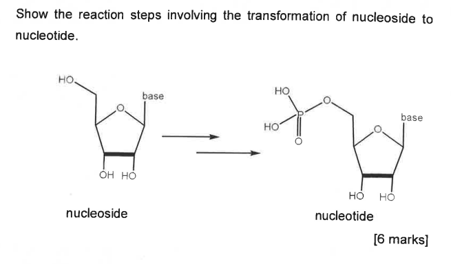 Solved Show the reaction steps involving the transformation | Chegg.com