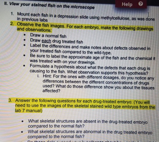 Solved II. View your stained fish on the microscope Help 1. | Chegg.com