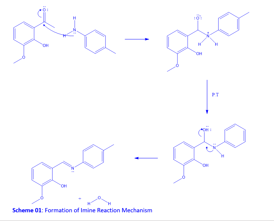 Solved Draw the fragmentation pattern of major fragments for | Chegg.com