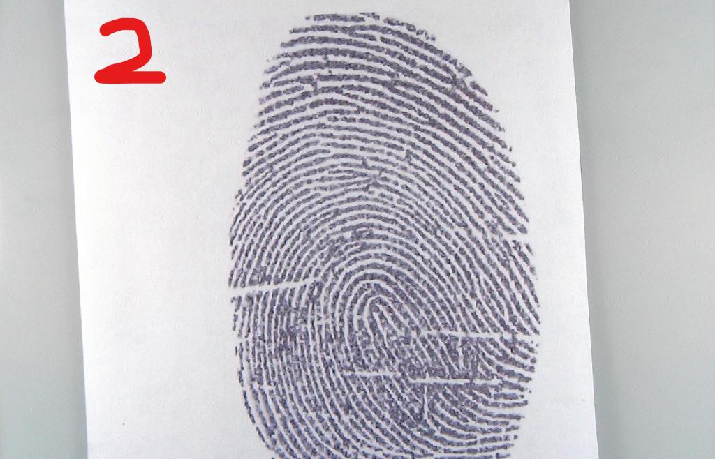 Solved Please mark and label the minutiae points and | Chegg.com