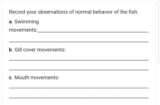 Solved Record your observations of normal behavior of the | Chegg.com