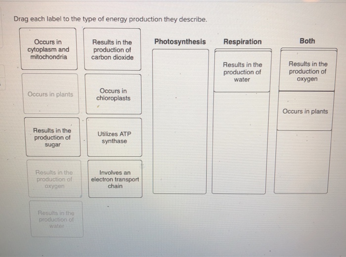 Solved Drag each label to the type of energy production they | Chegg.com