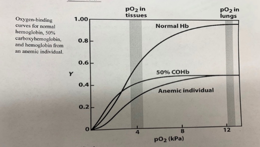 pO2 in tissues pO2 in lungs 1.00 Normal Hb | Chegg.com