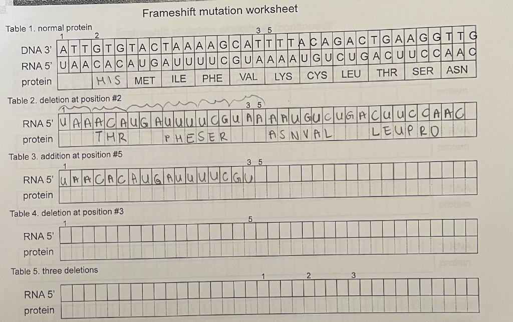 3 5 Frameshift mutation worksheet Table 1. normal | Chegg.com
