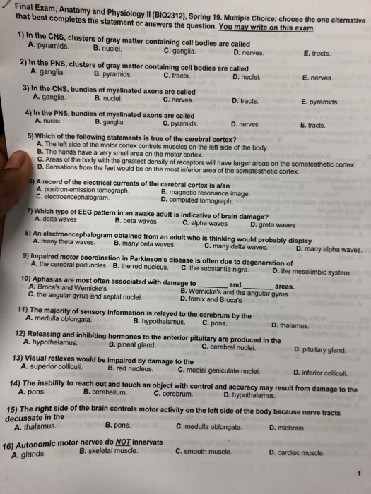 Solved Final Exam Anatomy And Physiology II B102312 Sp Chegg Solved Final Exam Anatomy And Physiology II B102312 Sp Chegg