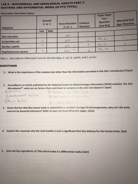 LAB 8-BIOCHEMICAL AND SEROLOGICAL ASSAYS PART 2 | Chegg.com
