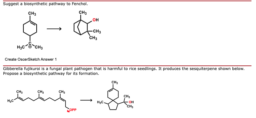 Solved Suggest a biosynthetic pathway to Fenchol. CH3 CH3 OH | Chegg.com