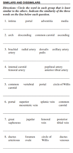 SIMILARS AND DISSIMILARS Directions: Circle the word | Chegg.com
