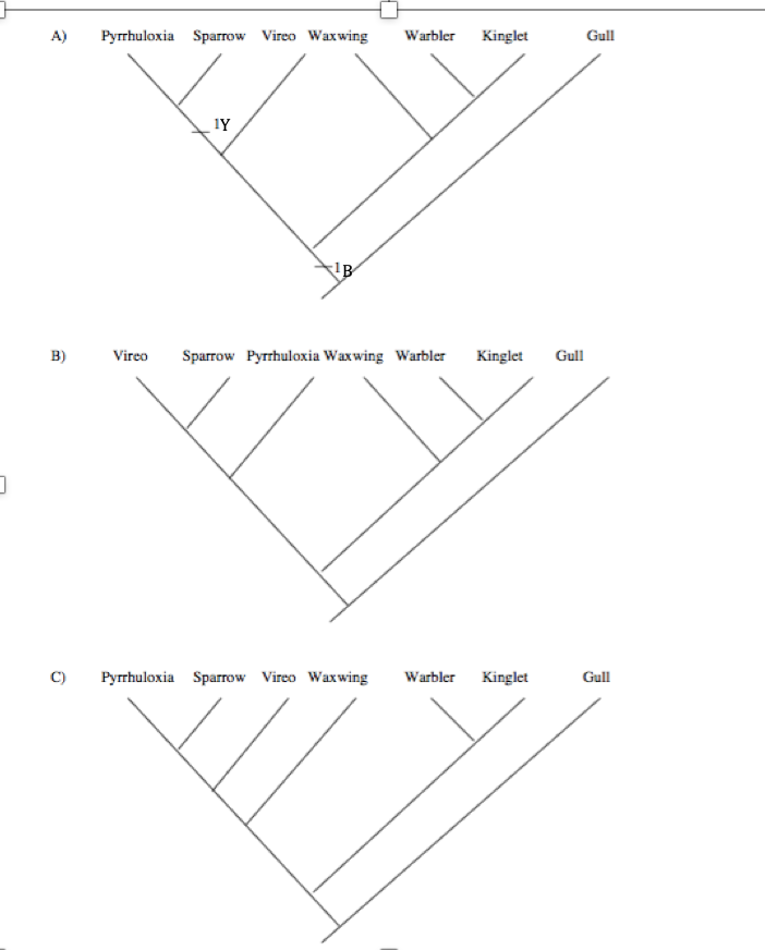 Q3. (5 points) For each tree (next page), map the | Chegg.com