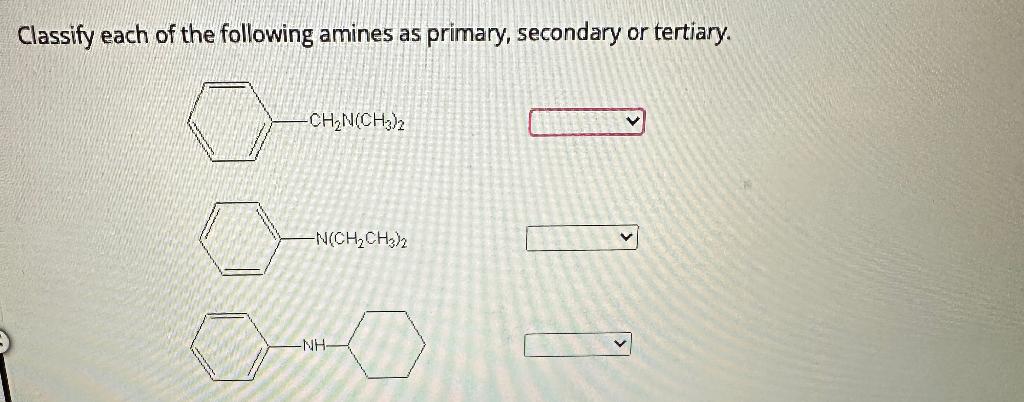 Solved Classify each of the following amines as primary, | Chegg.com