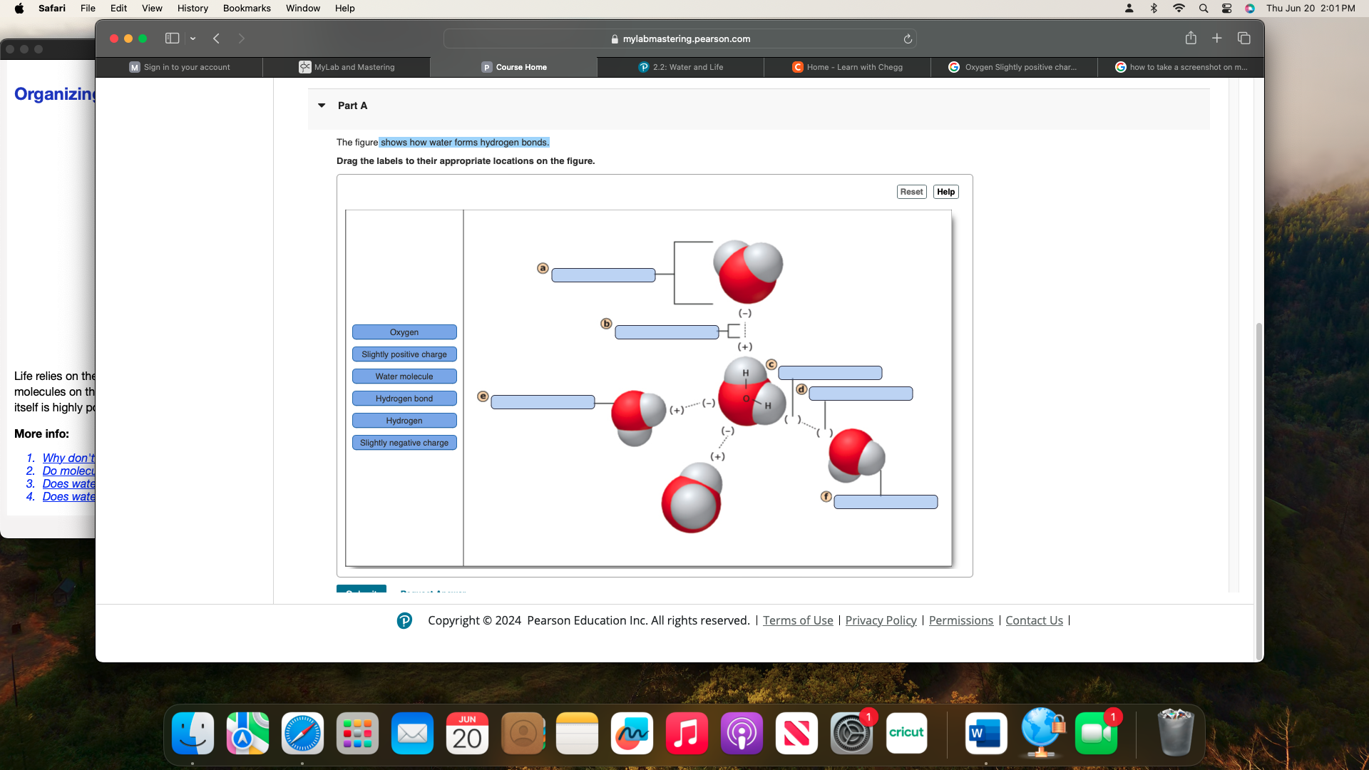 Solved The figure shows how water forms hydrogen bonds. | Chegg.com