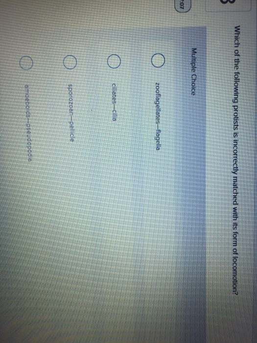 Solved Which of the following protists is incorrectly | Chegg.com