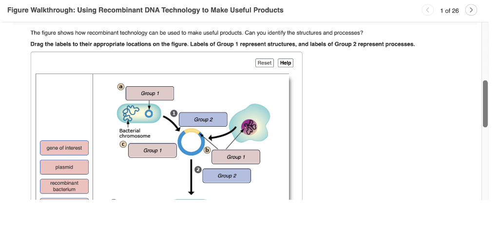 Solved Figure Walkthrough: Using Recombinant DNA Technology | Chegg.com