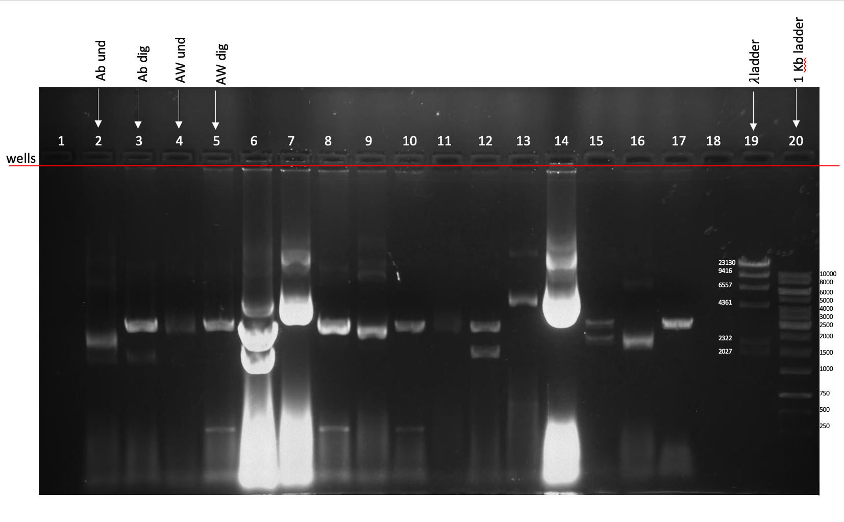I need help answering the following questions using | Chegg.com