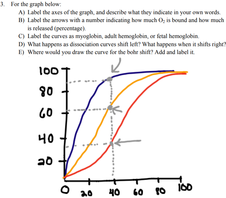 Solved 3. For the graph below: A) Label the axes of the | Chegg.com