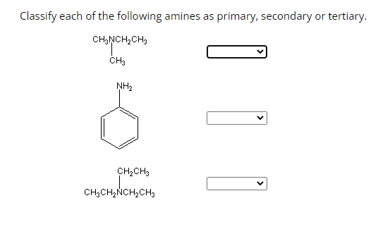 Solved Classify each of the following amines as primary, | Chegg.com