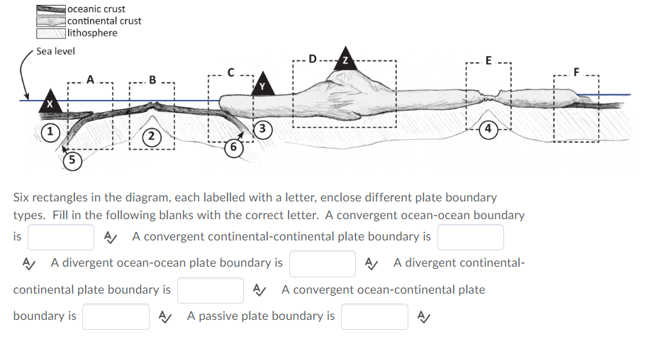 Solved oceanic crust continental crust lithosphere Sea level | Chegg.com