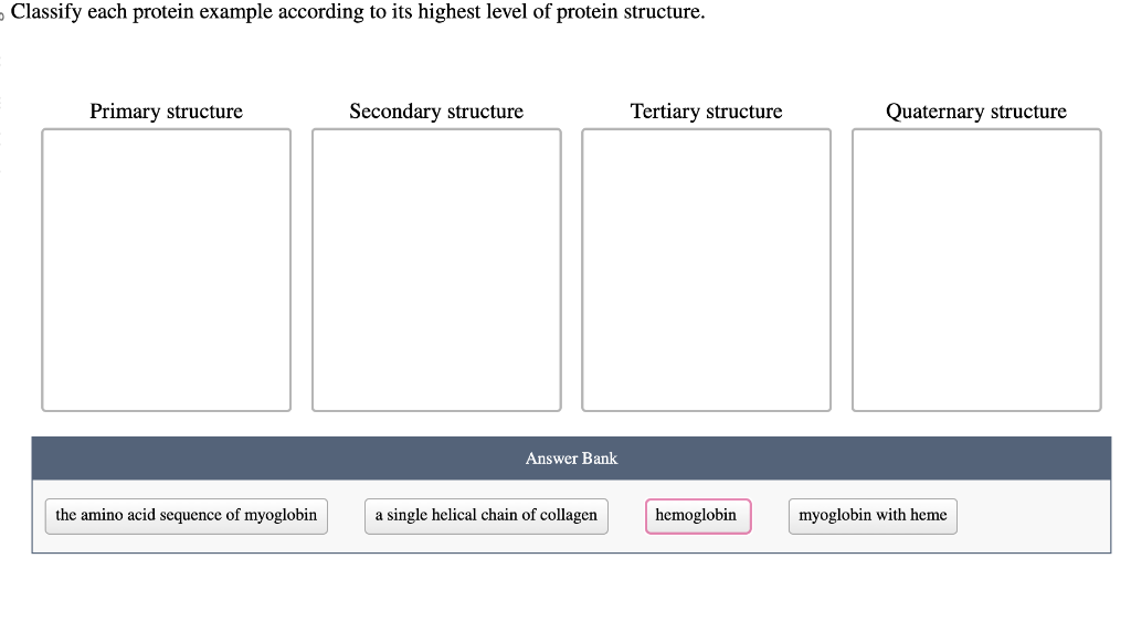 Solved Classify each protein example according to its | Chegg.com Solved Classify each protein example according to its | Chegg.com