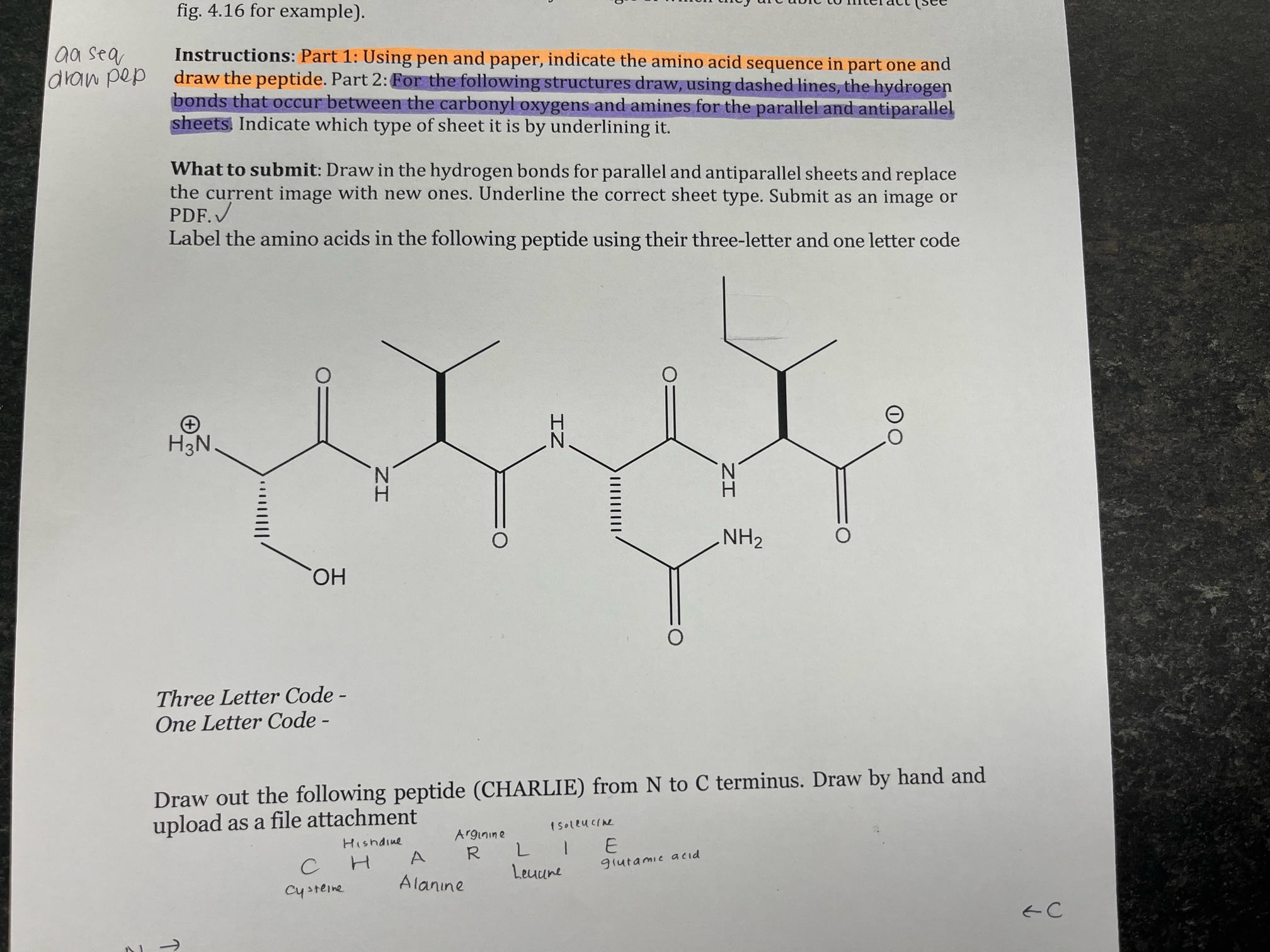 Solved Draw out the following peptide (CHARLIE) from N to C | Chegg.com