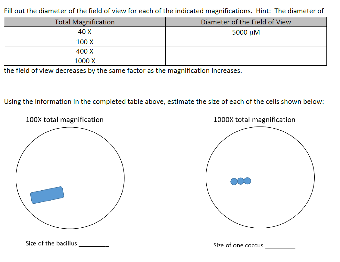 Solved Fill out the diameter of the field of view for each | Chegg.com