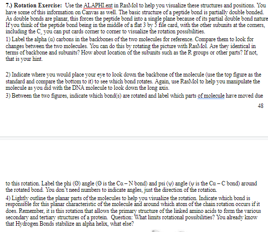 7.) Rotation Exercise: Use the ALAPHI.ent in RasMol | Chegg.com