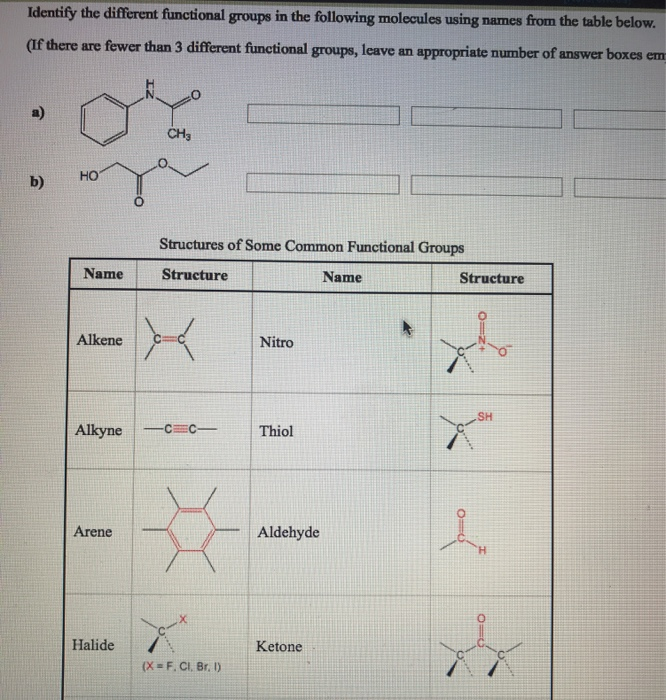 Solved Identify the different functional groups in the | Chegg.com