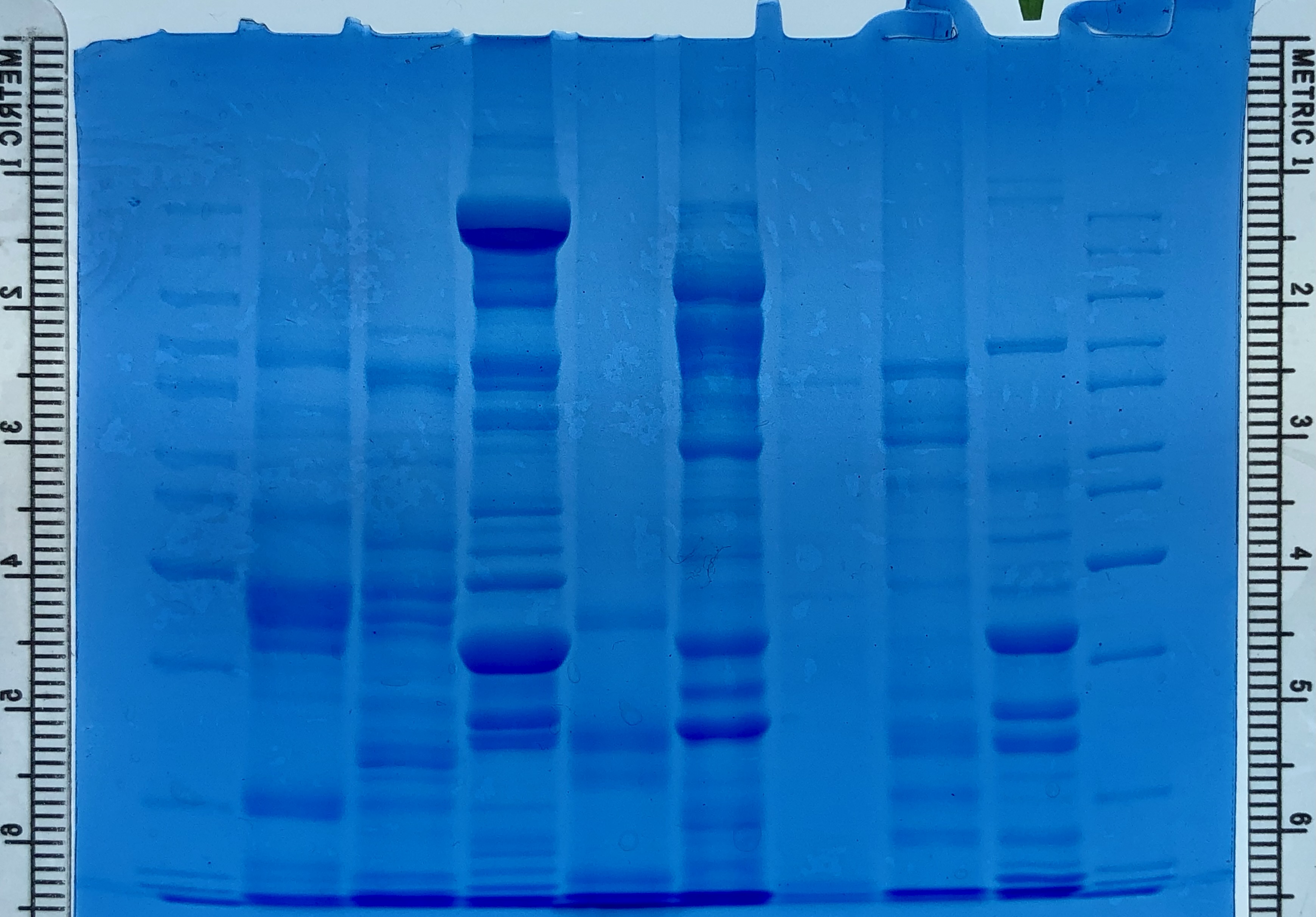 Question 8. Look at the better of the two | Chegg.com