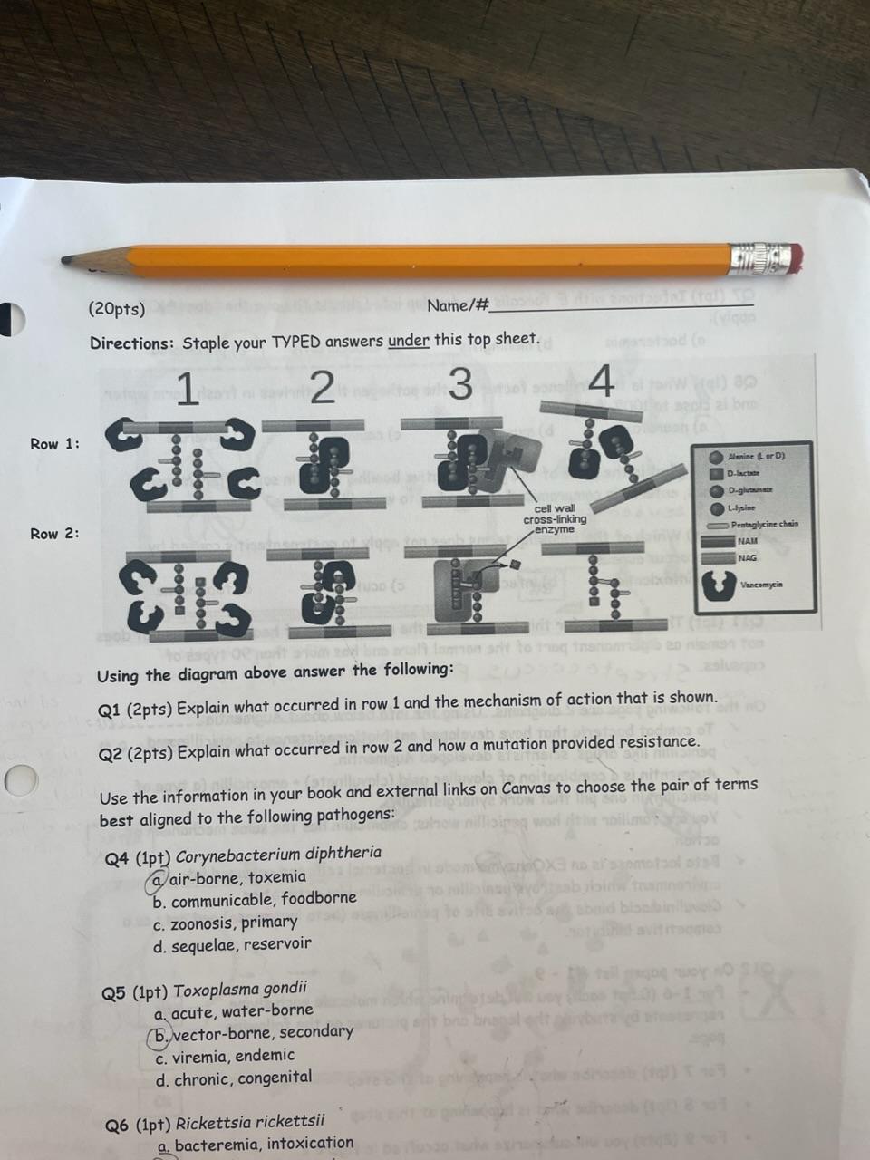 Directions: Staple your TYPED answers under this top | Chegg.com