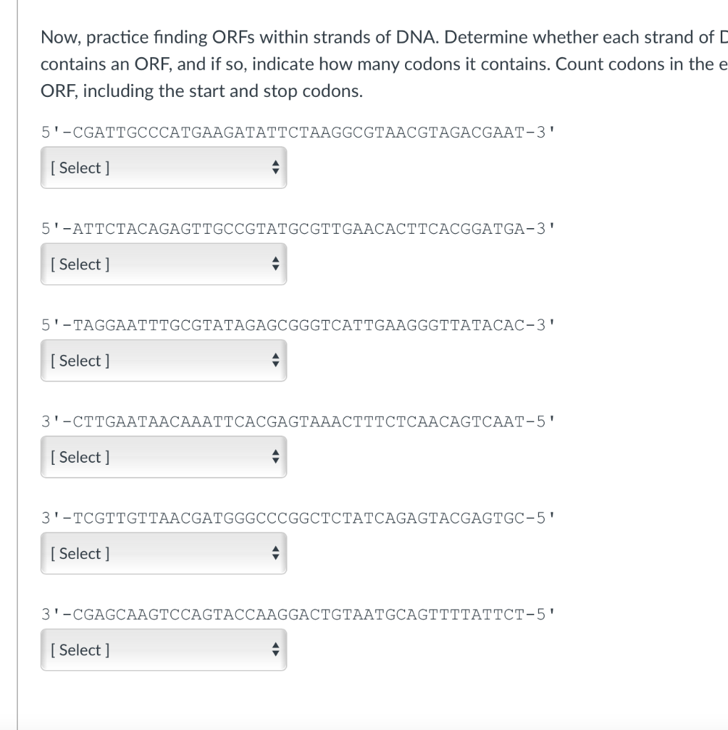 Solved function as a stop codon. Now you know how to locate | Chegg.com