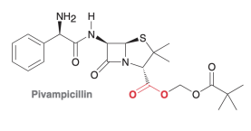 Solved Pivampicillin is a methylpivoxyl ester of ampicillin. | Chegg.com