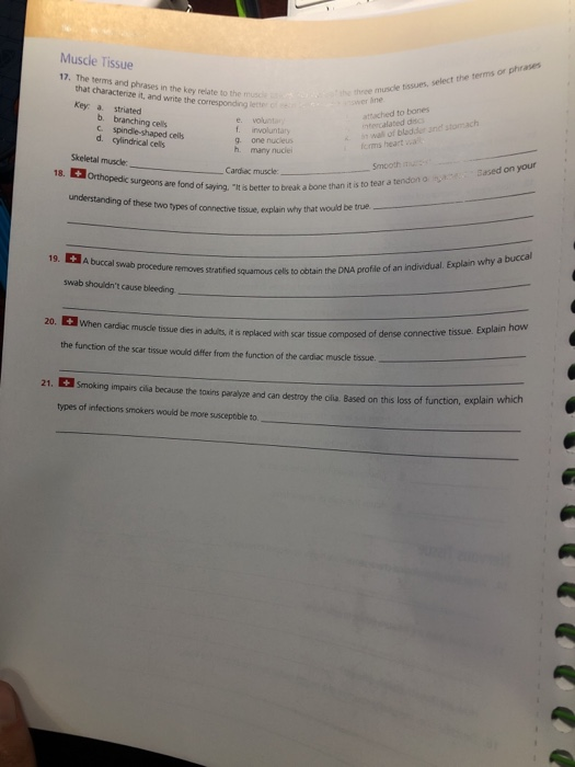 Solved Instructors may assign a portion of the Review Sheet | Chegg.com