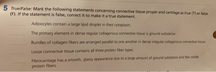 Solved Mark the following statements concerning connective | Chegg.com