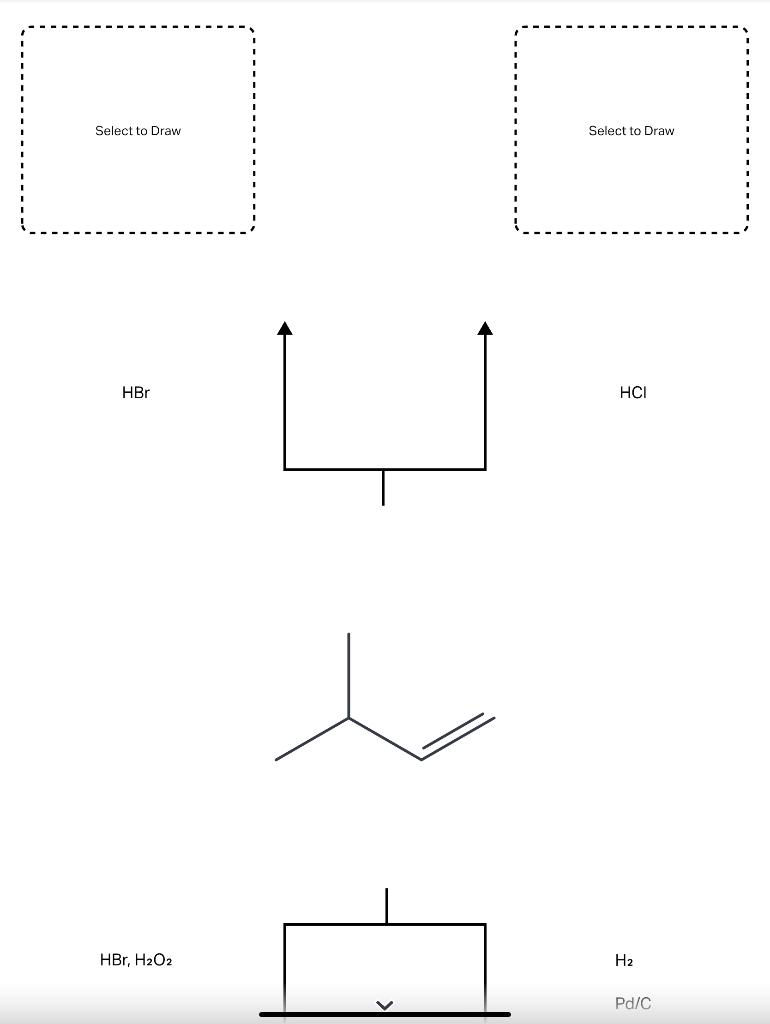 Solved Draw one of the two enantiomers of the major product | Chegg.com
