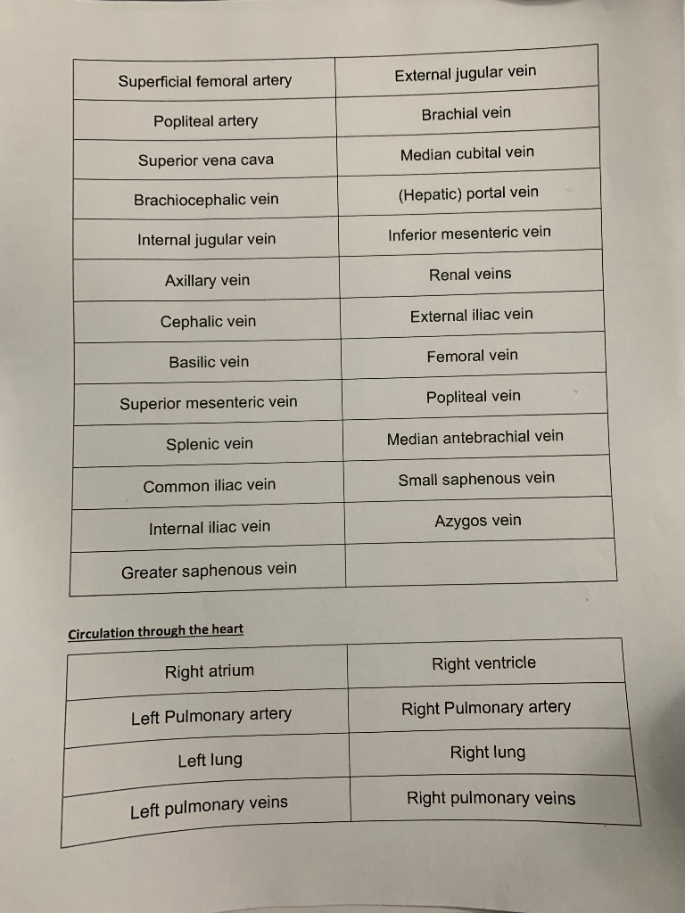 Solved Blood Tracing Practice: Reflect the circulation of a | Chegg.com