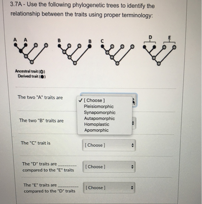 Solved 3.7A- Use the following phylogenetic trees to | Chegg.com