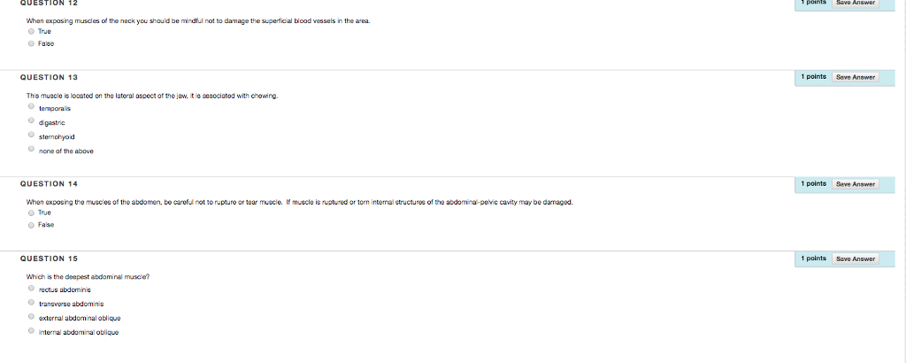 Solved QUESTION 1 1 points Which of the following muscles | Chegg.com