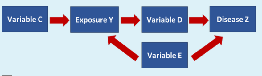 Solved You want to estimate the total effect of Exposure Y | Chegg.com