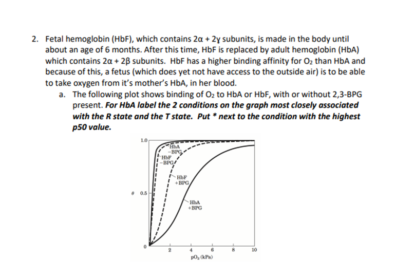 Solved 2. Fetal hemoglobin (HbF), which contains 2a + 2y | Chegg.com